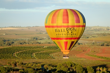 Barossa Valley Hot Air Balloon Ride with Winery Breakfast | TourTipster.com